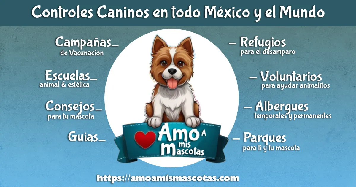 Albergues y Refugios de Animales | Ayuda y Adopción